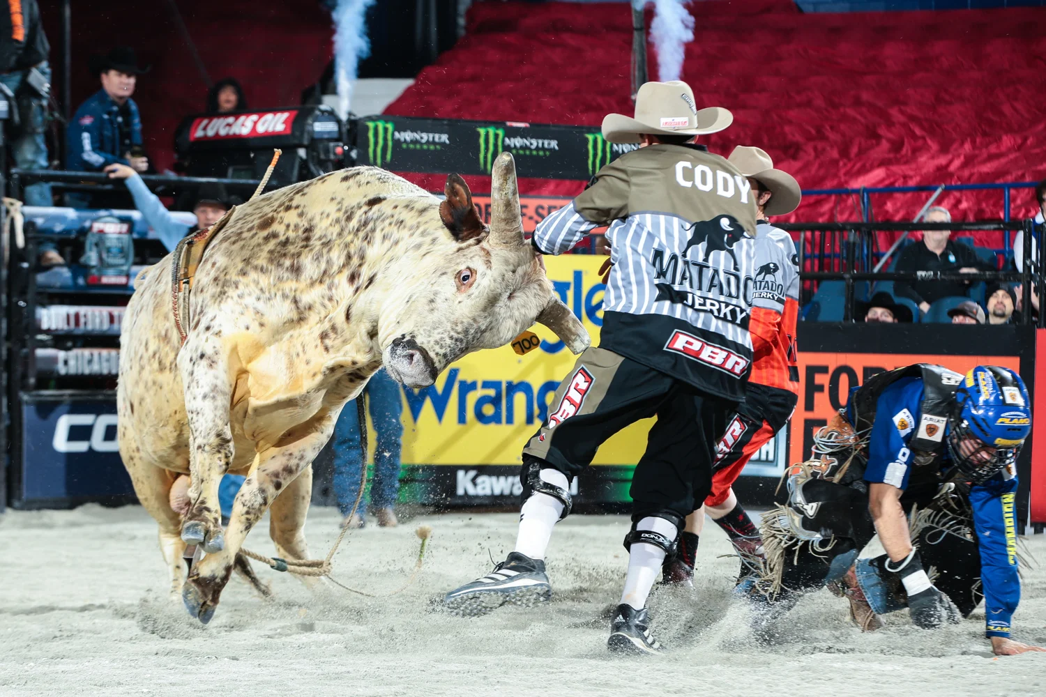 PBR Photos — Bull Stock Media