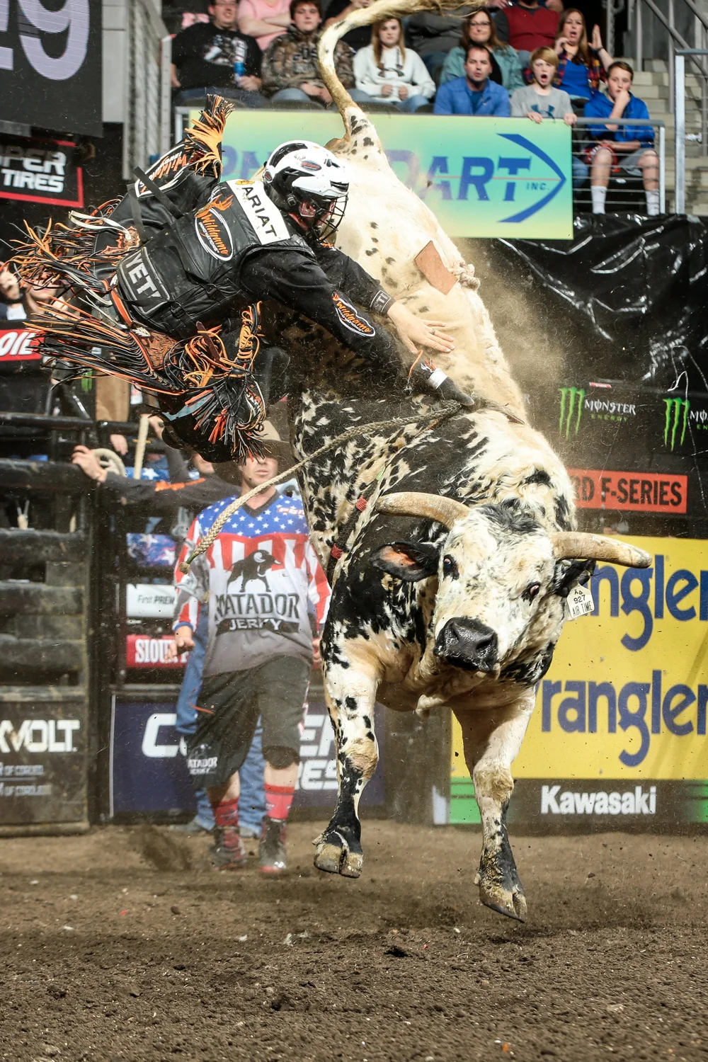 PBR Photos — Bull Stock Media