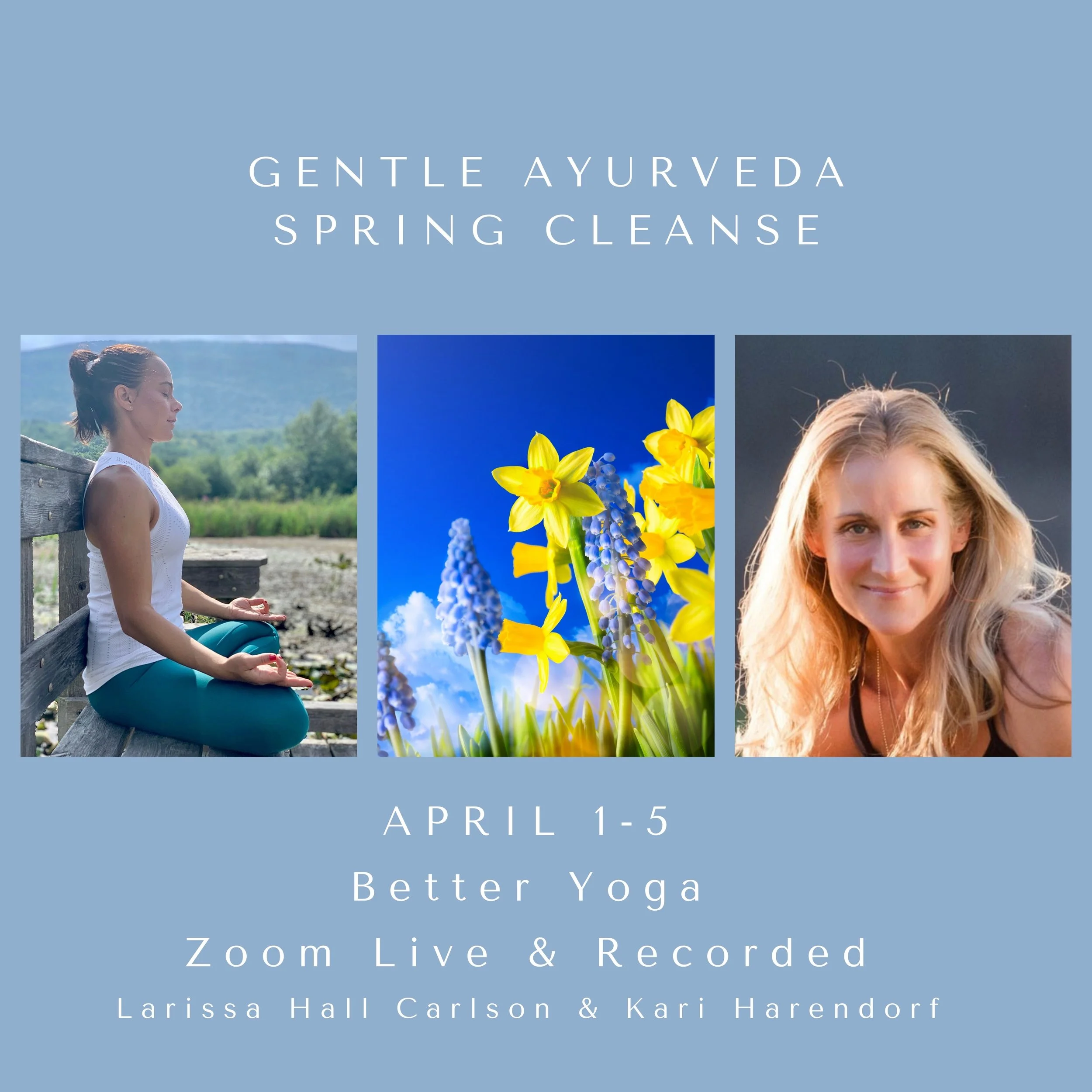 Ayurveda, Yoga and Mindfulness Events | Larissa Hall Carlson