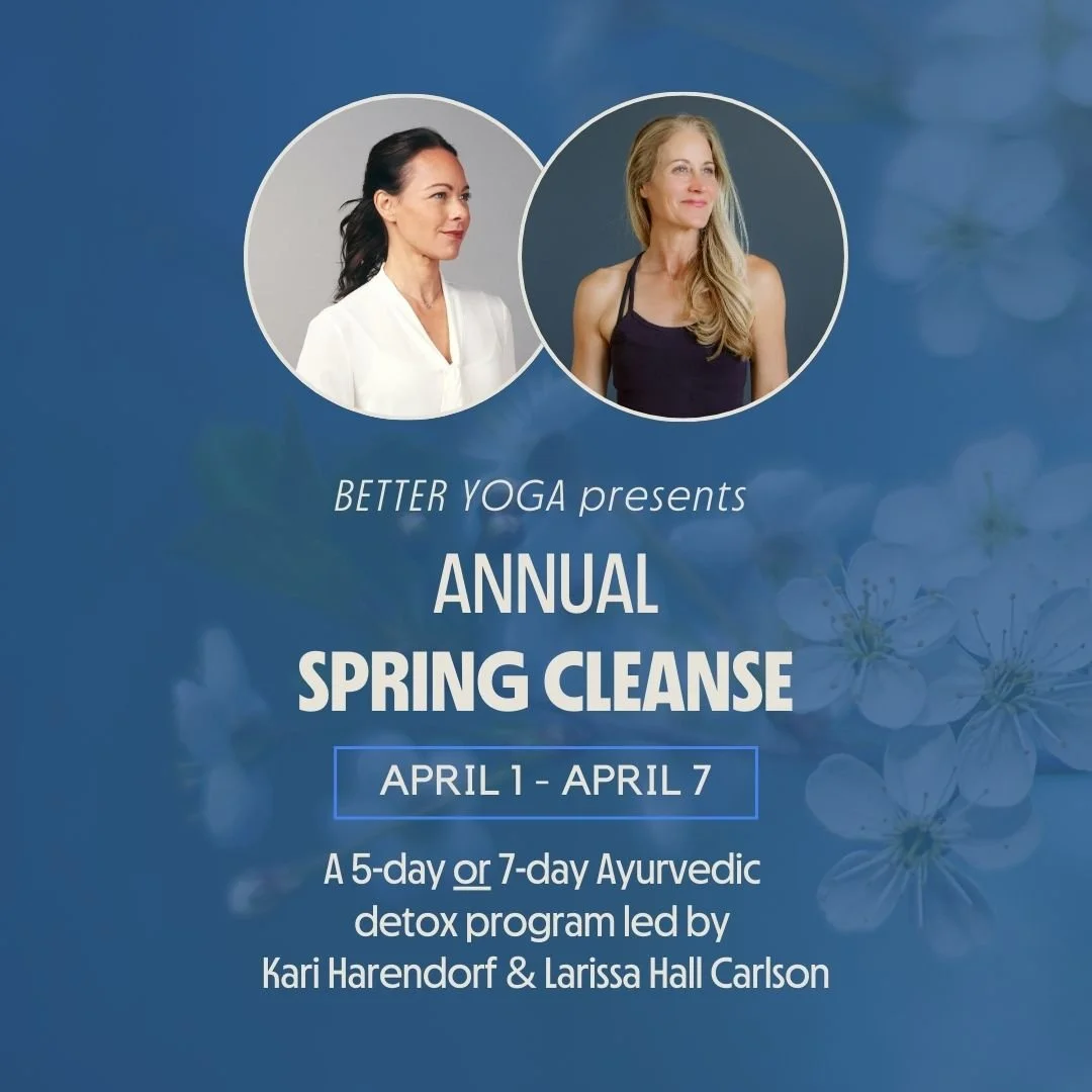 Ayurveda, Yoga and Mindfulness Events | Larissa Hall Carlson