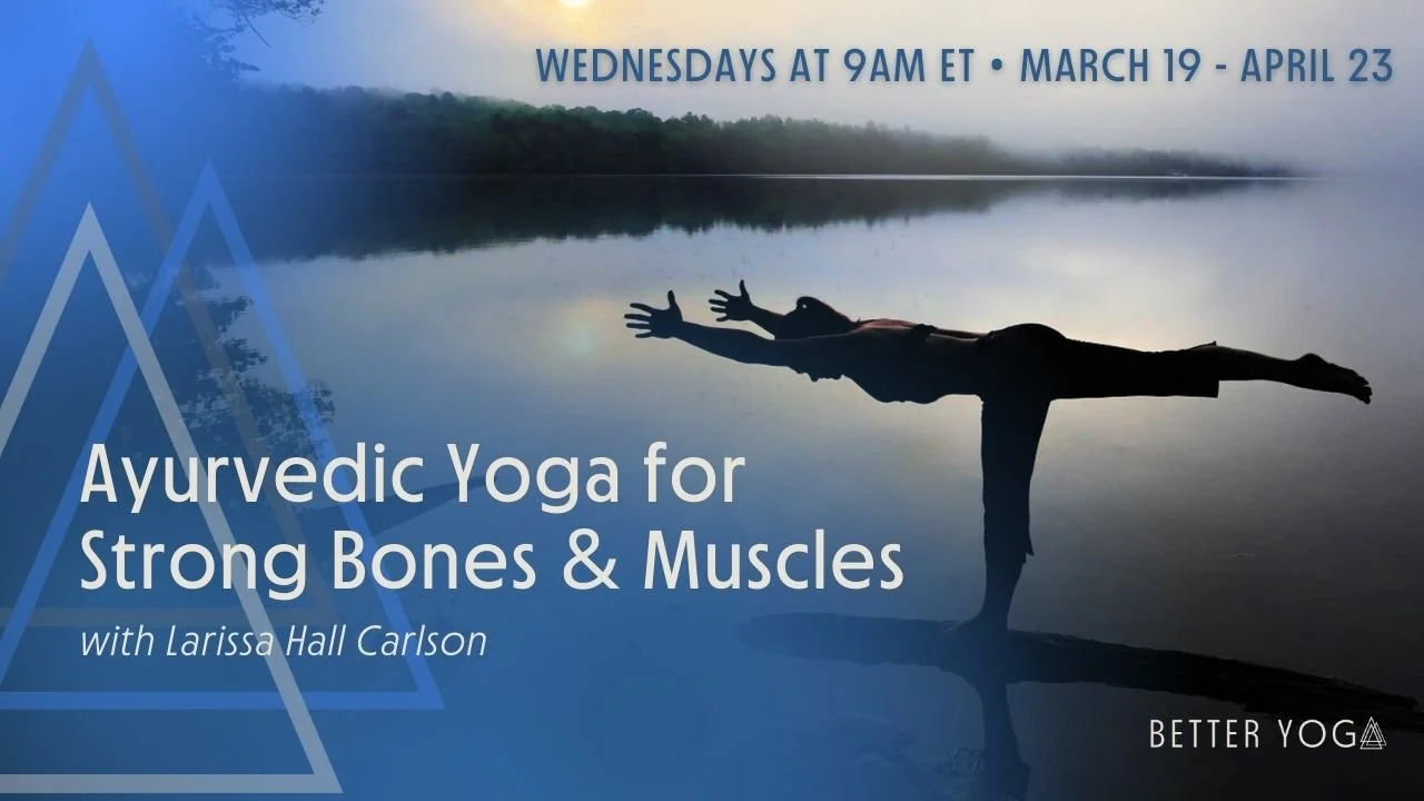 Ayurveda, Yoga and Mindfulness Events | Larissa Hall Carlson