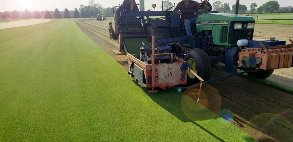 Premier Bentgrass Sod Varieties — GreenSource USA