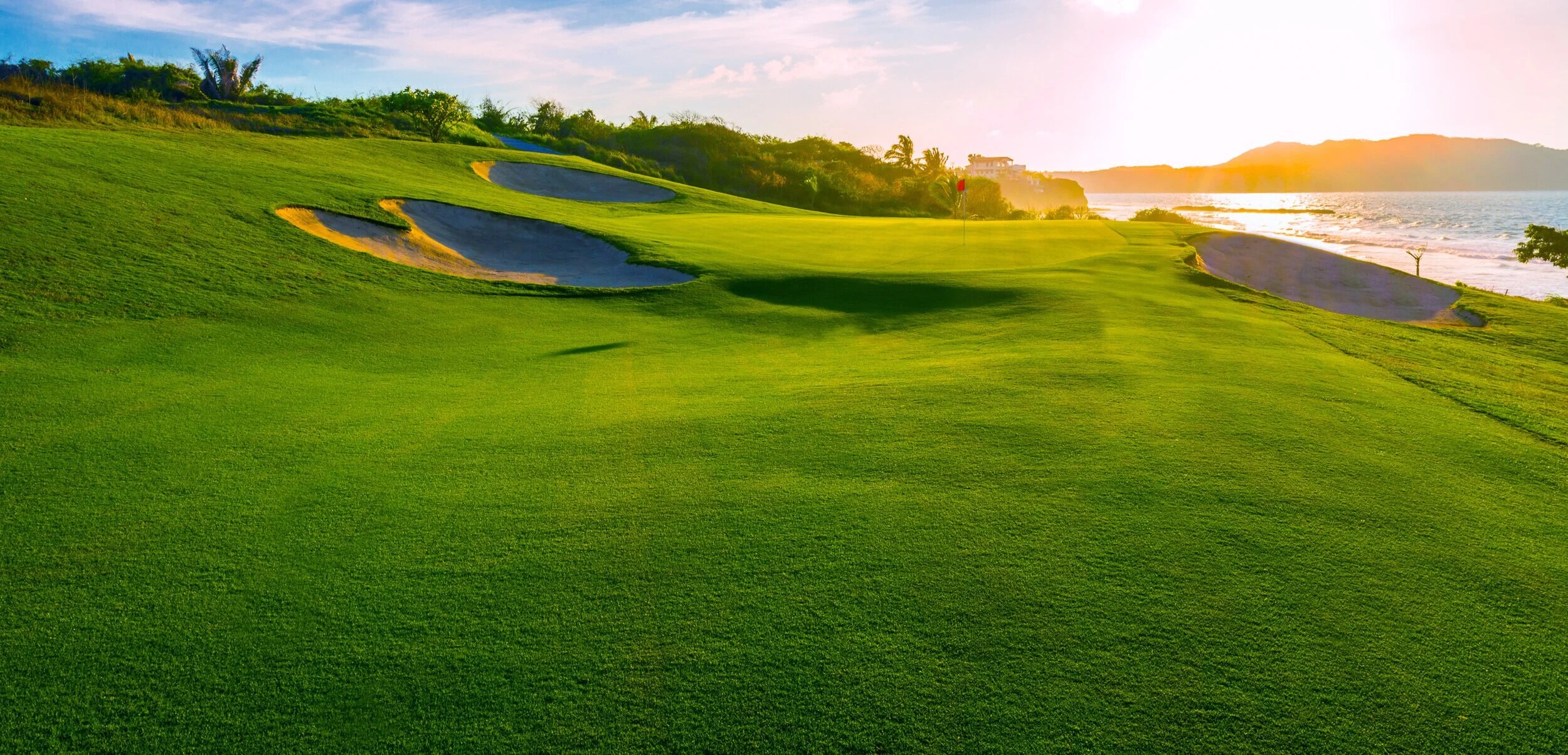 Premier Bentgrass Sod — Green Source