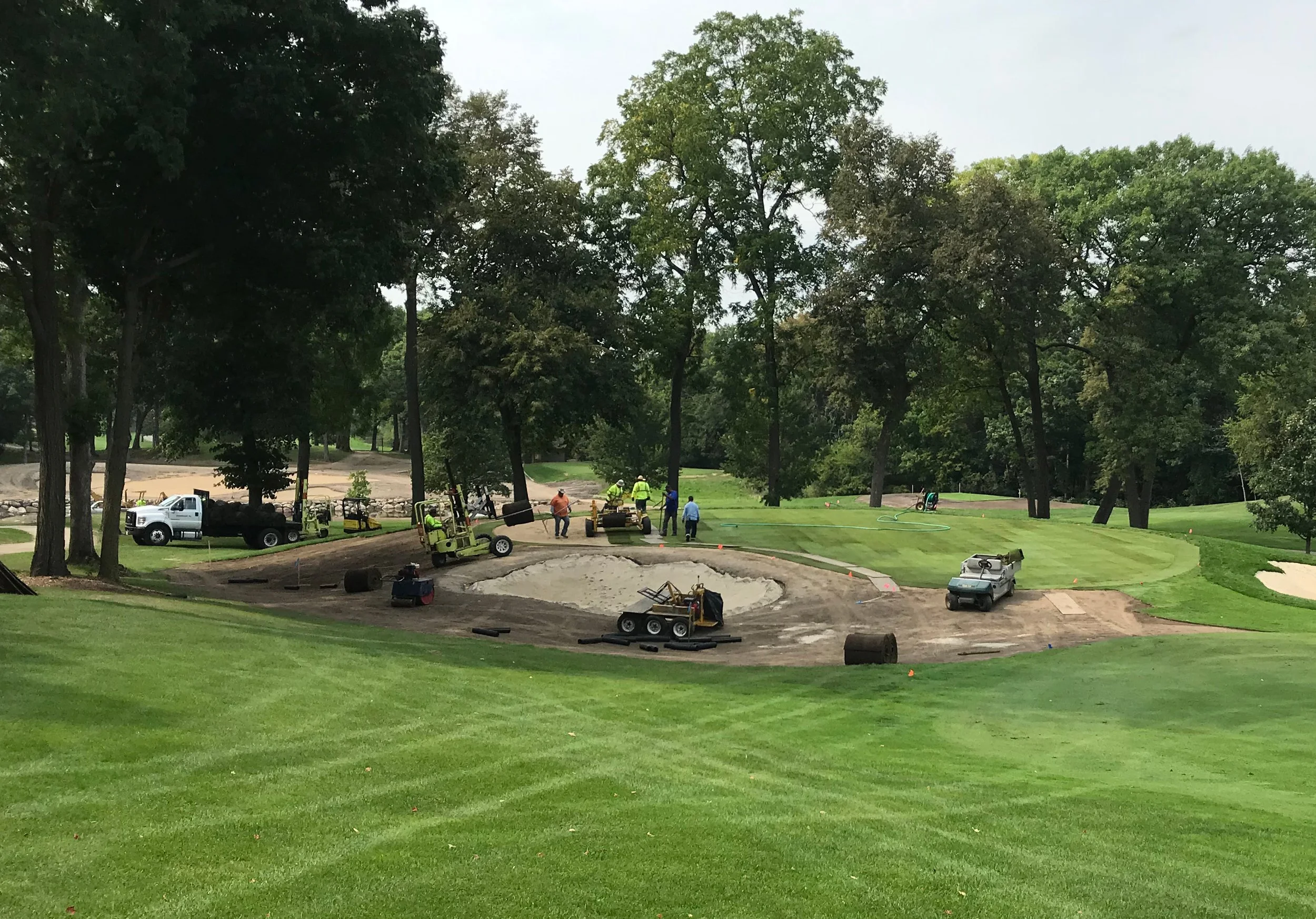 Premier Bentgrass Sod — Green Source