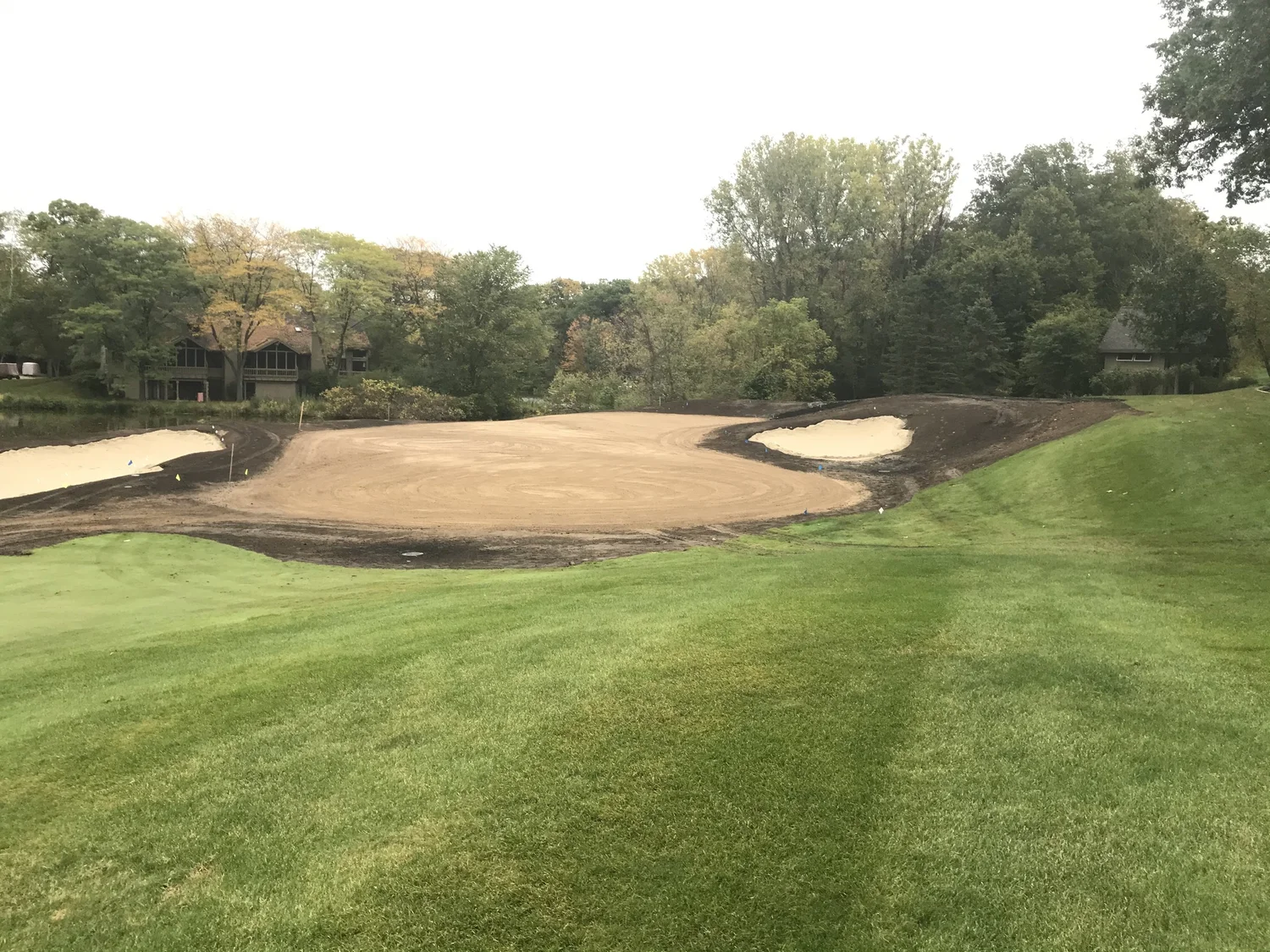 Premier Bentgrass Sod Varieties — GreenSource USA