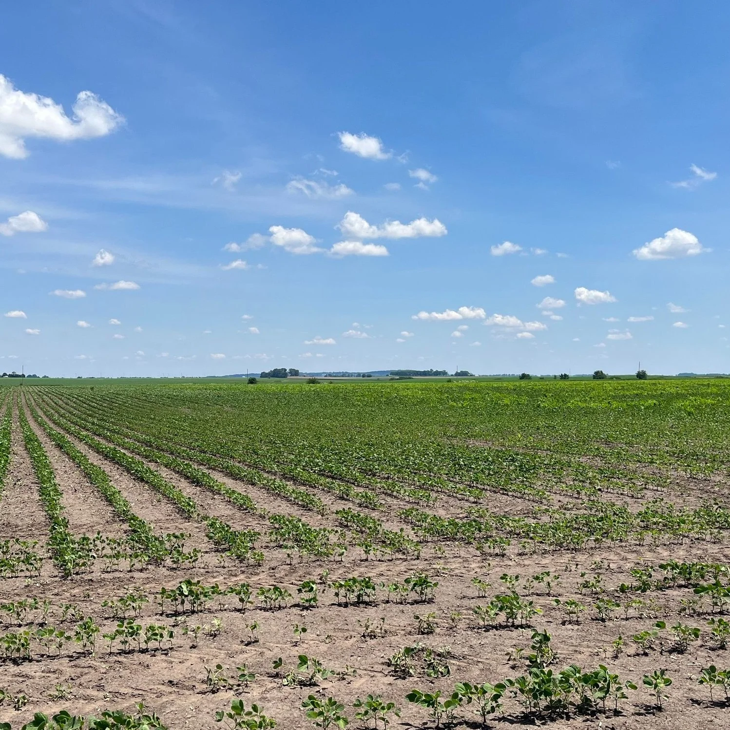 Illinois Farmland FOR SALE — Field Level Agriculture, Inc.
