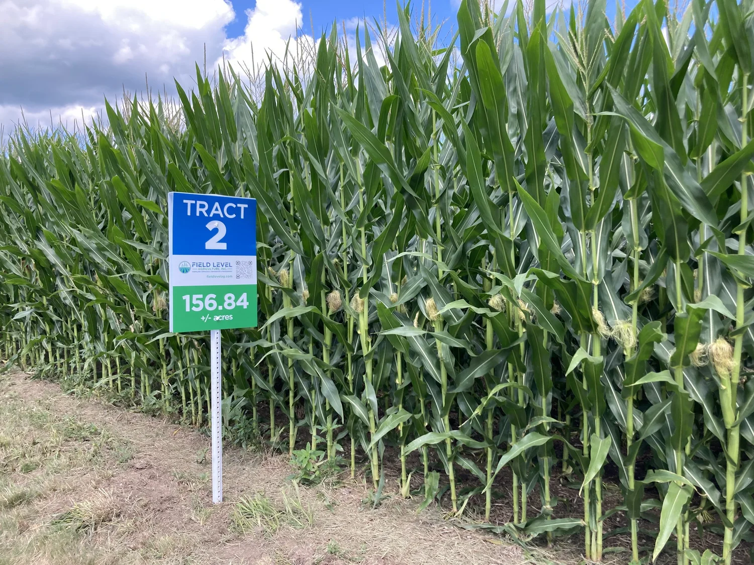 Turner Trust Farmland Auction - 6 Tracts — Field Level Agriculture, Inc.