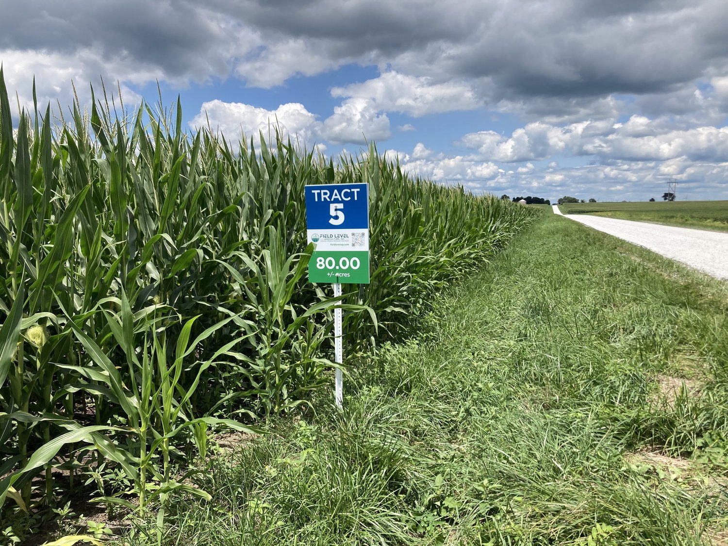 Turner Trust Farmland Auction - 6 Tracts — Field Level Agriculture, Inc.