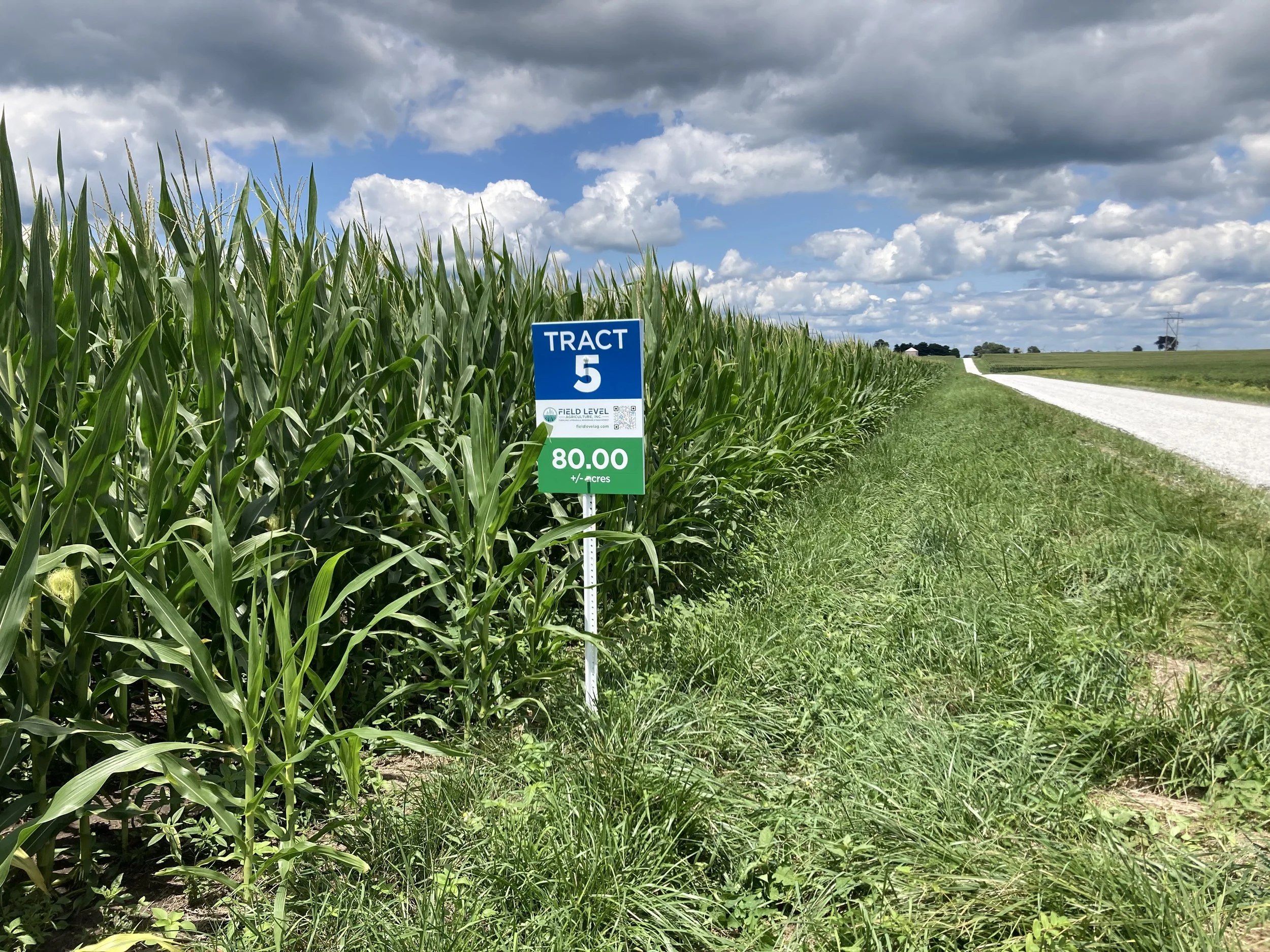Turner Trust Farmland Auction - 6 Tracts — Field Level Agriculture, Inc.