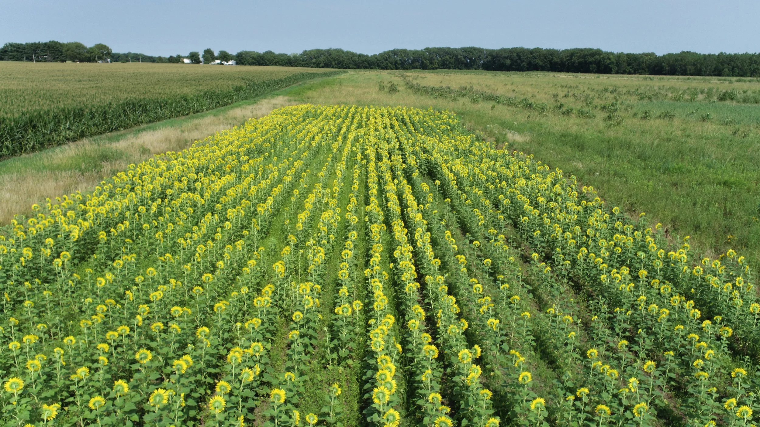 Logan County Farm - Online Auction — Field Level Agriculture, Inc.