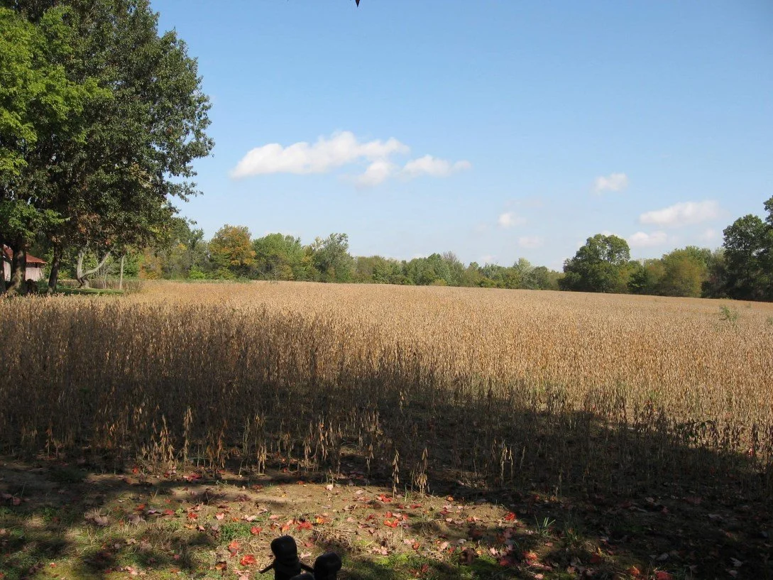 McLaughlin Farm — Field Level Agriculture, Inc.