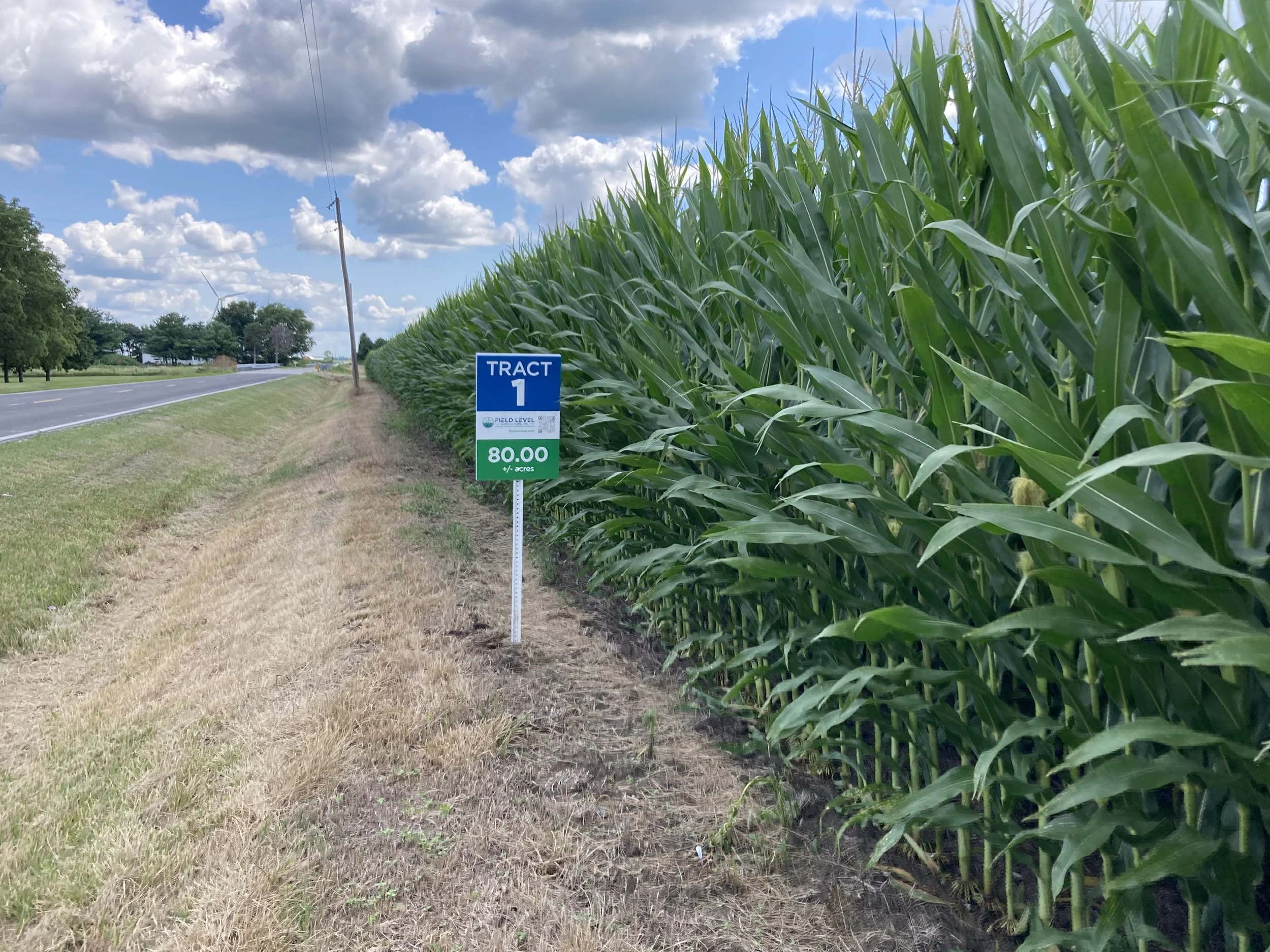 Turner Trust Farmland Auction - 6 Tracts — Field Level Agriculture, Inc.