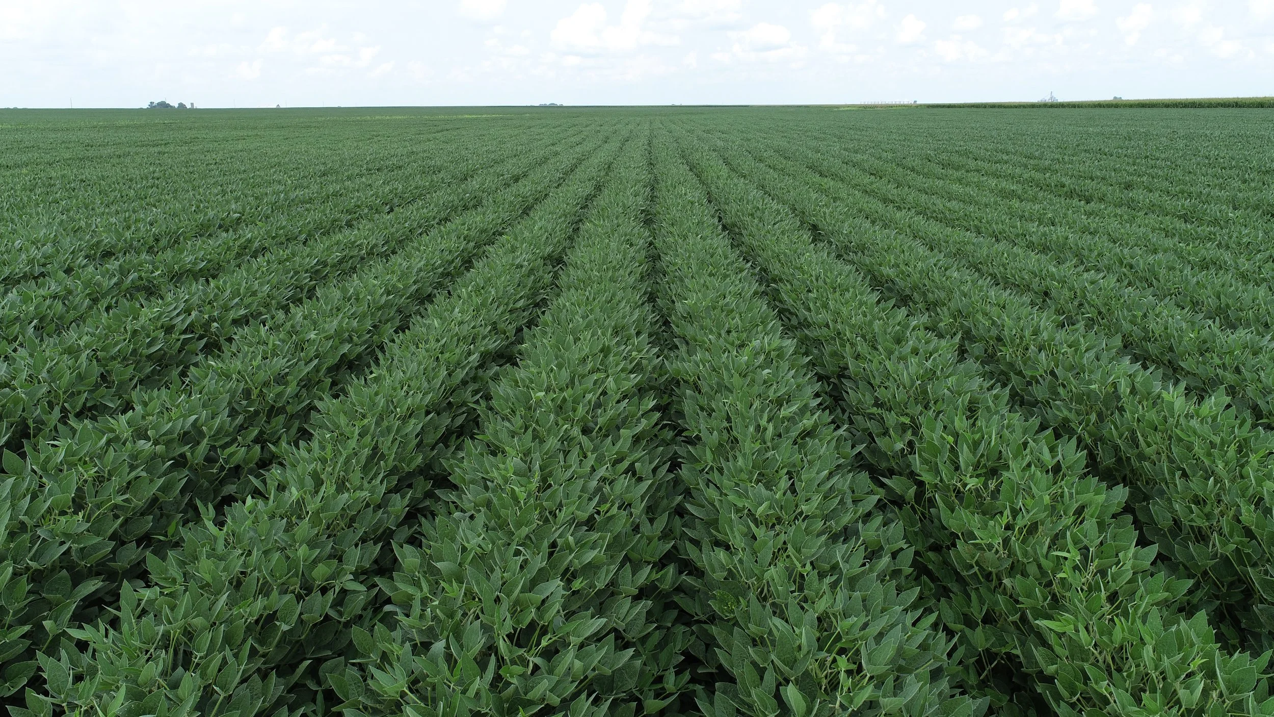 Christian County Farms — Field Level Agriculture, Inc.