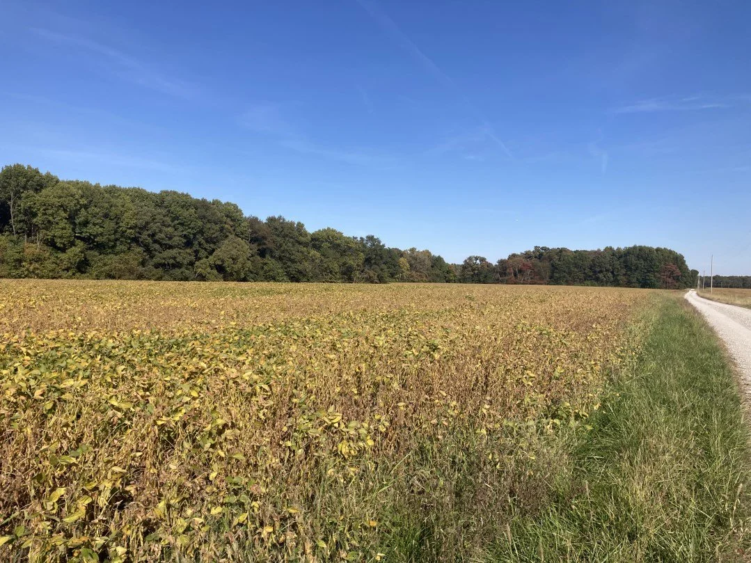 Illinois Farmland FOR SALE — Field Level Agriculture, Inc.