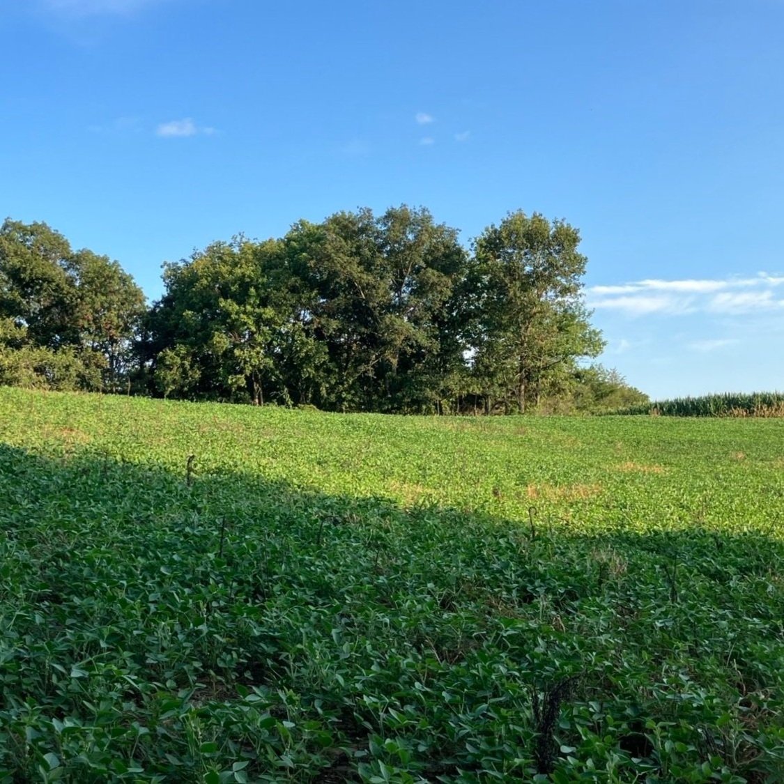 Illinois Farmland FOR SALE — Field Level Agriculture, Inc.