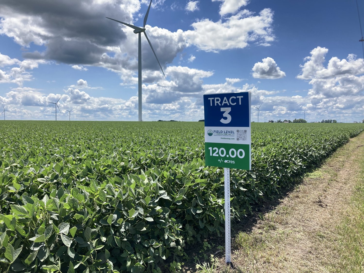 Turner Trust Farmland Auction - 6 Tracts — Field Level Agriculture, Inc.