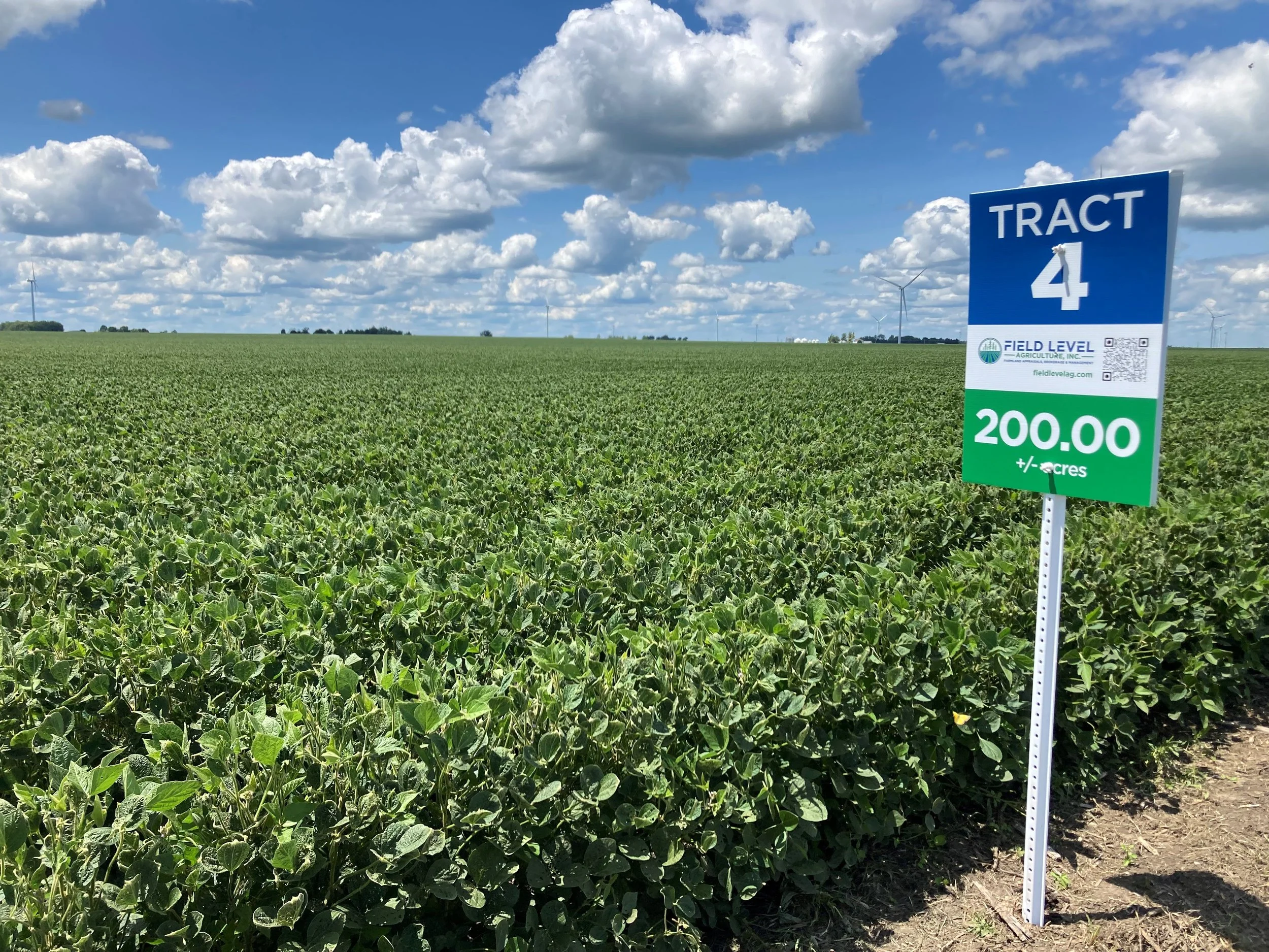 Turner Trust Farmland Auction - 6 Tracts — Field Level Agriculture, Inc.