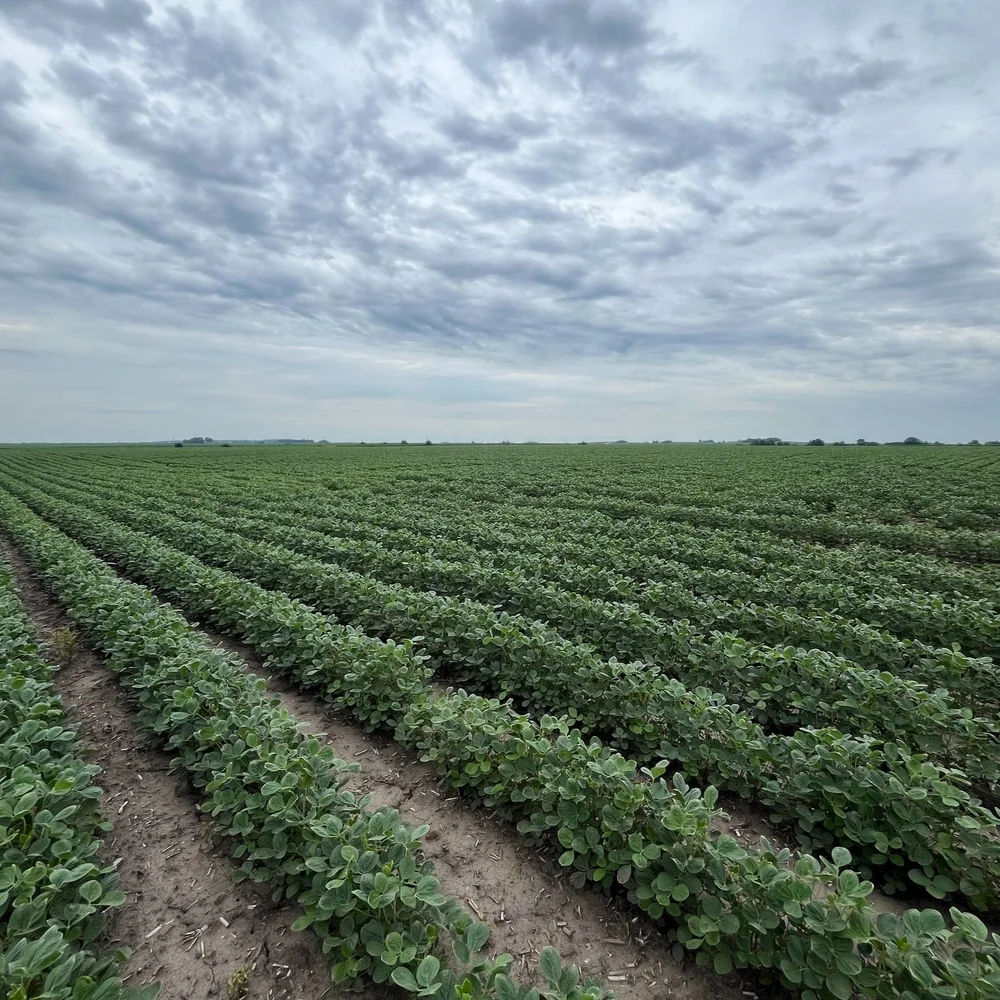 Illinois Farmland FOR SALE — Field Level Agriculture, Inc.