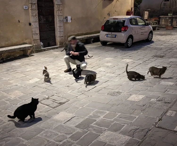 Renaissance Creatures and Other Animals in Tuscany — Little Roads Europe
