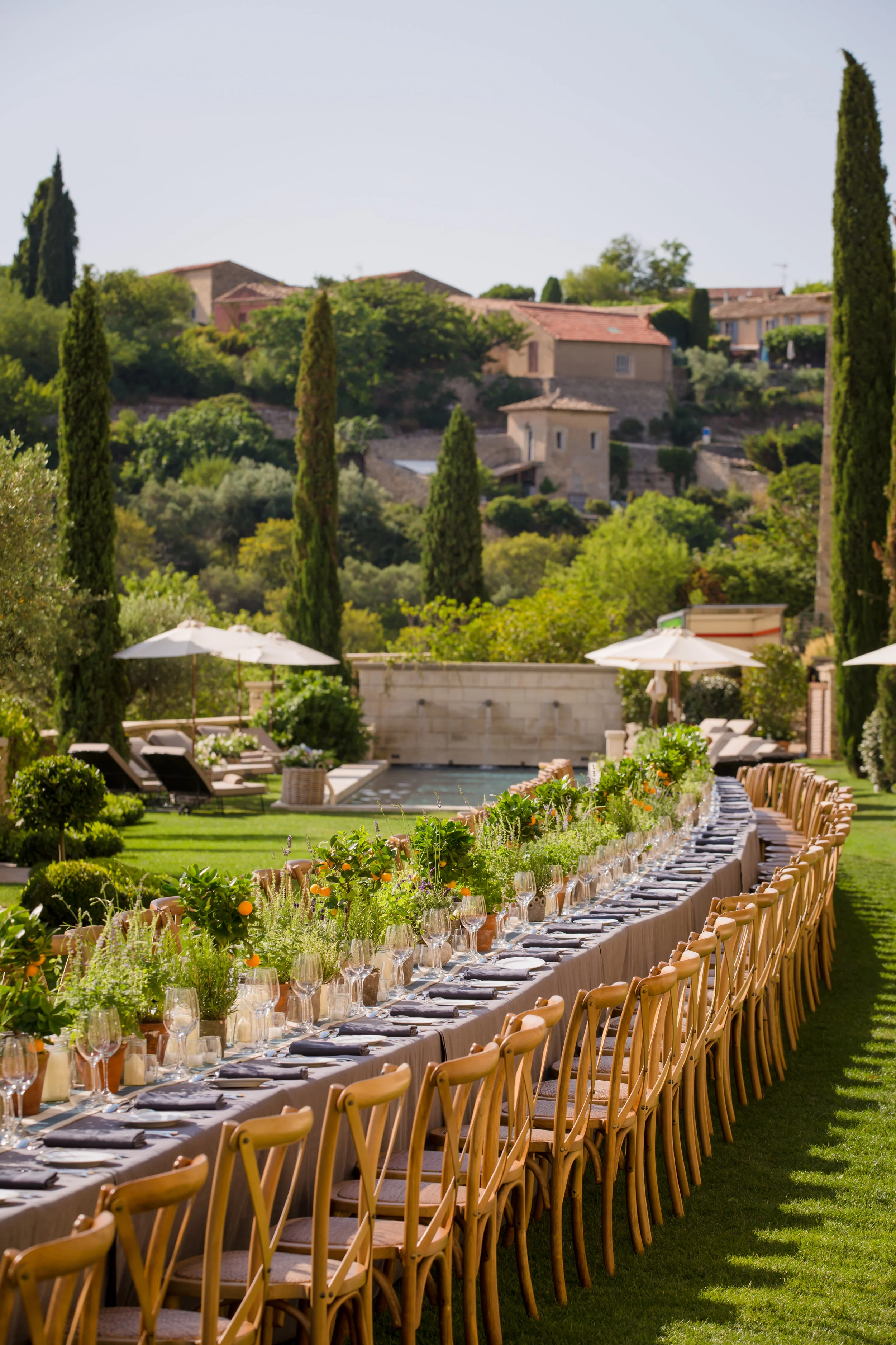 KITTEN GRAYSON FLOWERS