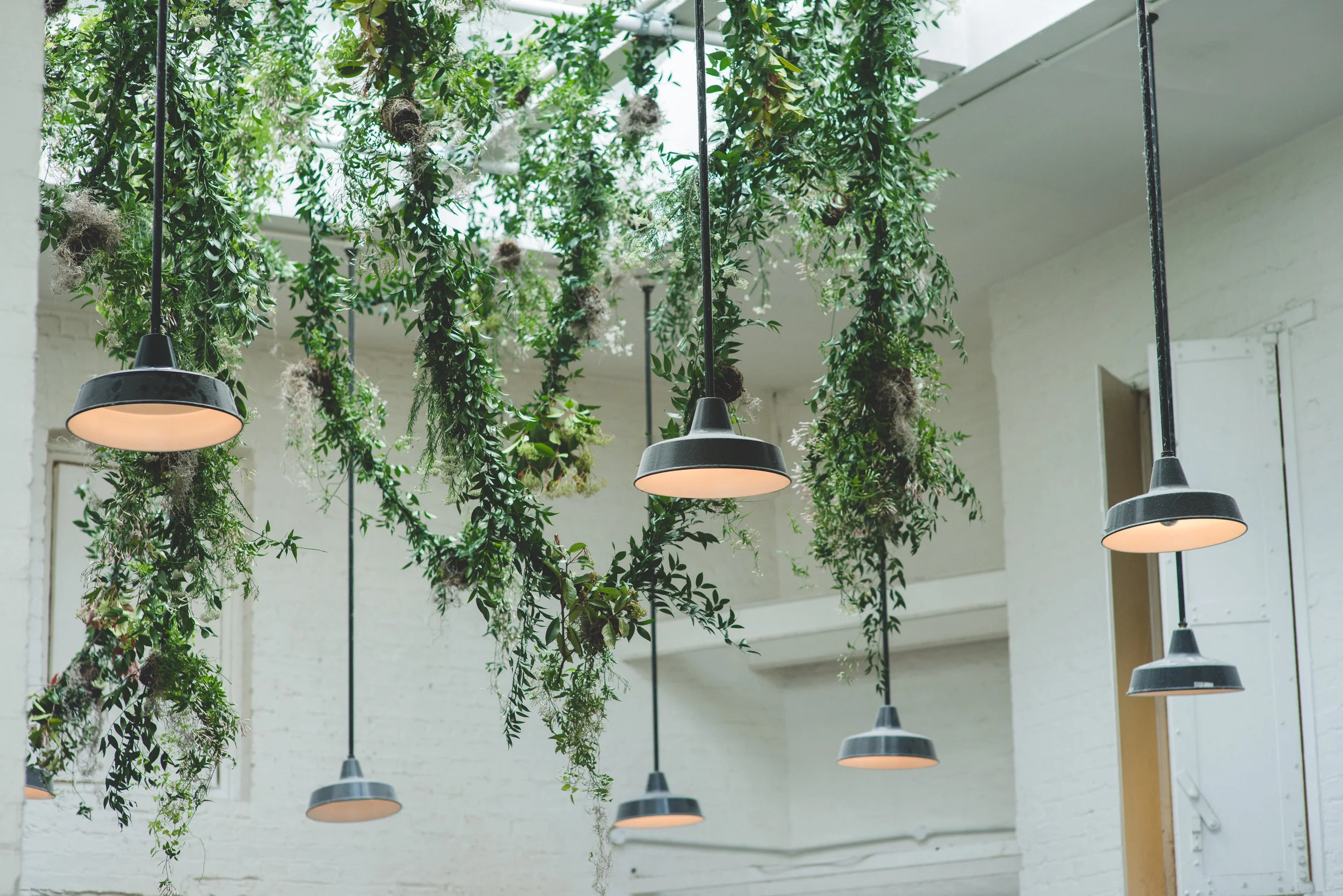 KITTEN GRAYSON FLOWERS