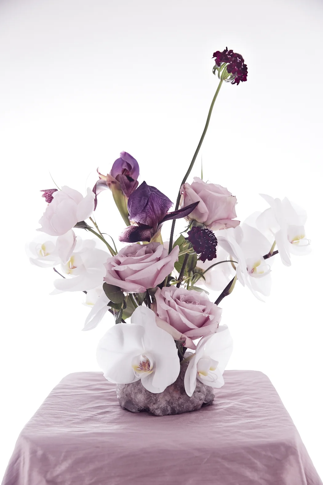 KITTEN GRAYSON FLOWERS