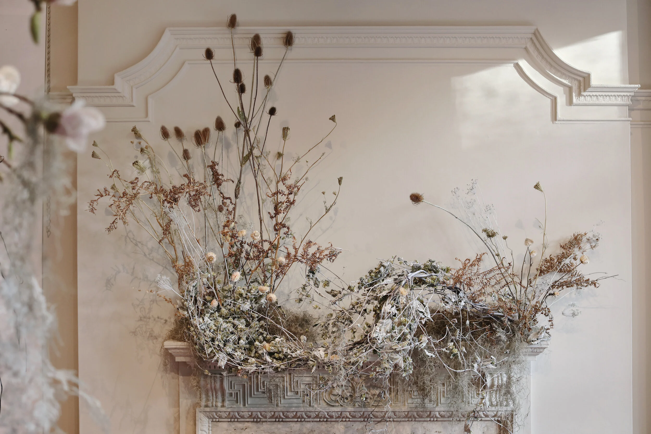 KITTEN GRAYSON FLOWERS