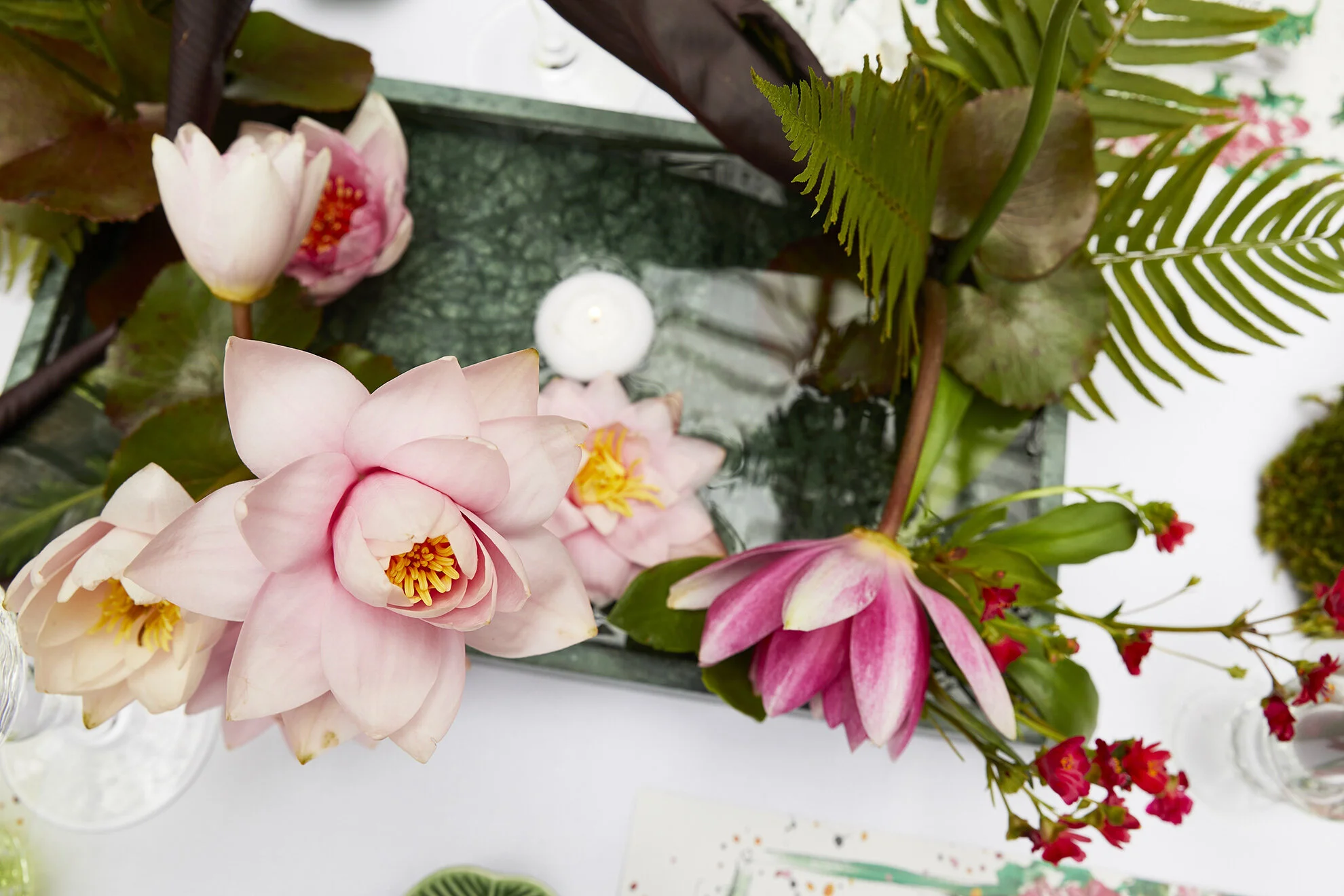 KITTEN GRAYSON FLOWERS