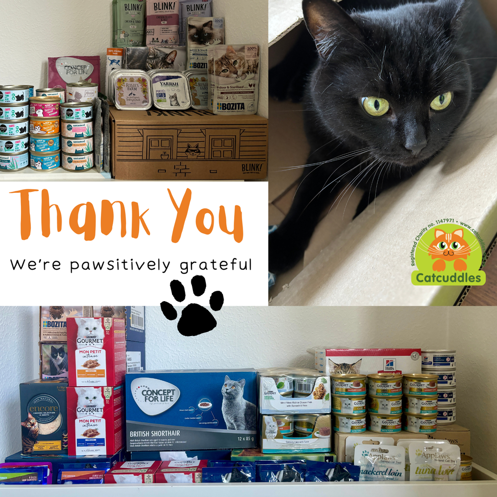 A Heartfelt Thank You — Catcuddles London London Cat Sanctuary