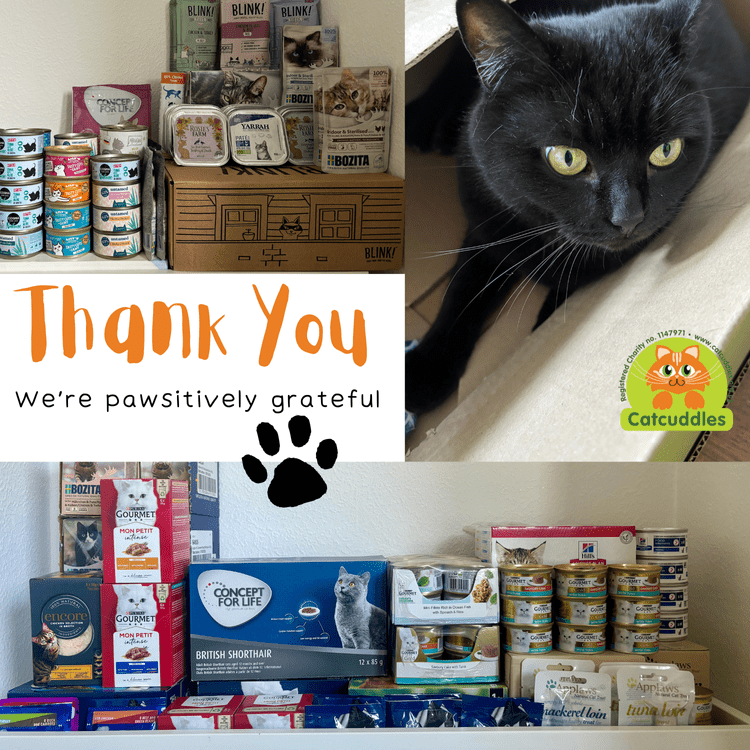 A Heartfelt Thank You — Catcuddles London London Cat Sanctuary