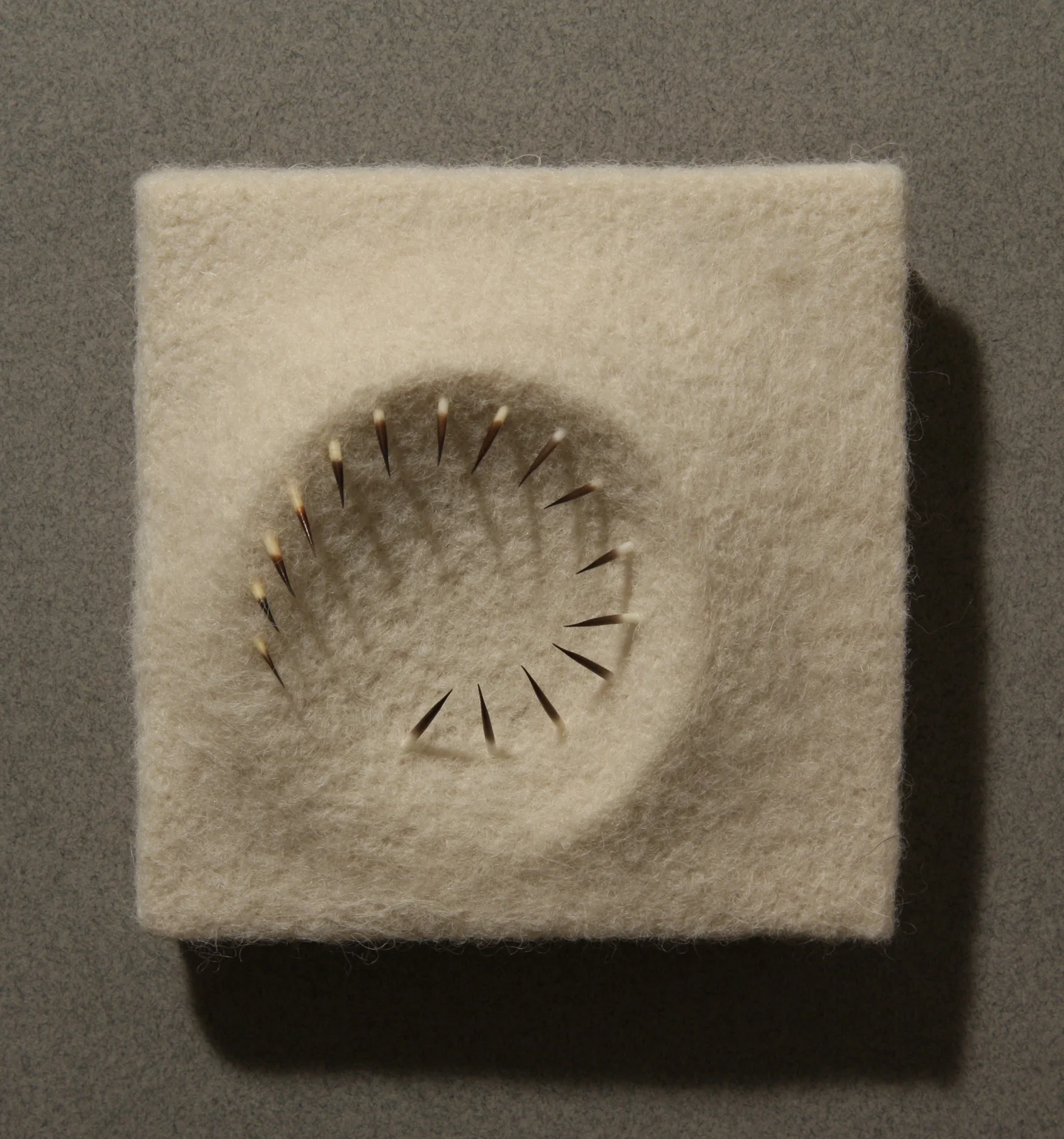 Calamus felted wool and porcupine quill sculptures — Stephanie Metz