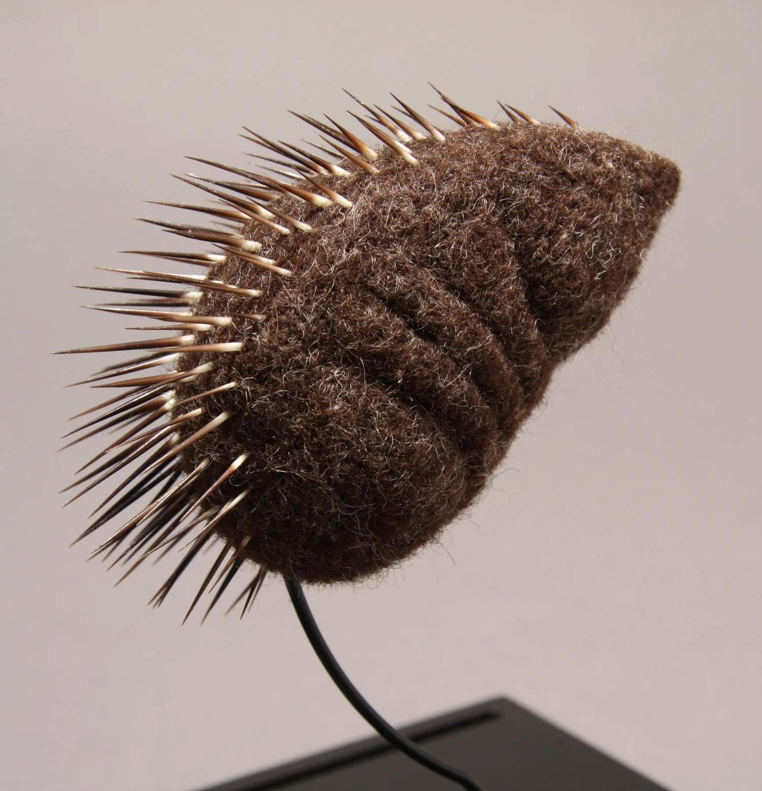 Calamus felted wool and porcupine quill sculptures — Stephanie Metz