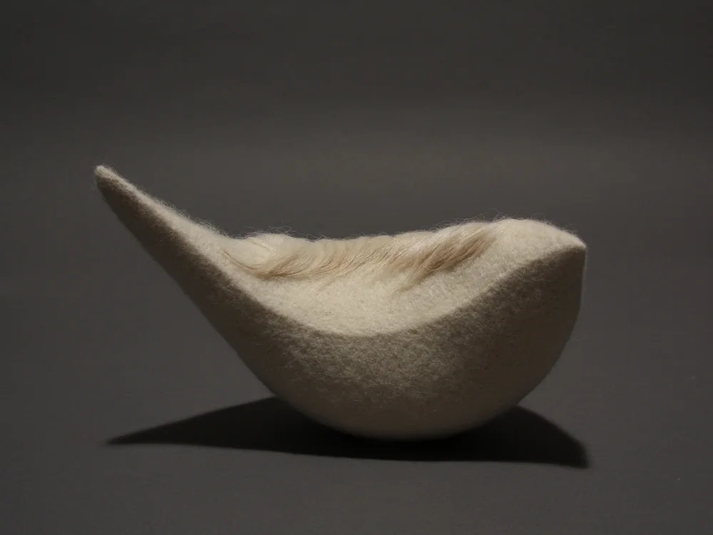 Avicular (Bird-like) — Stephanie Metz