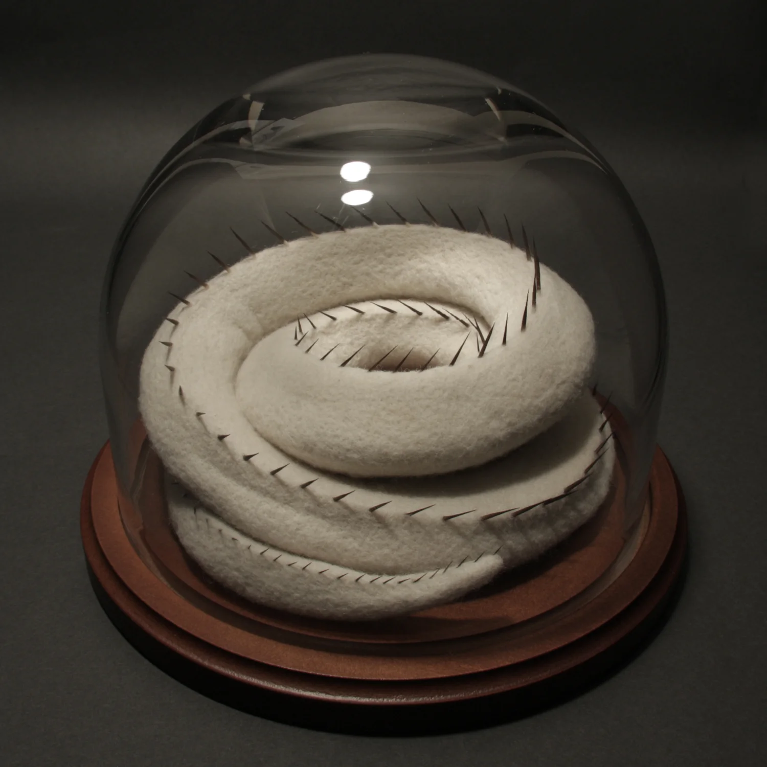 Calamus felted wool and porcupine quill sculptures — Stephanie Metz