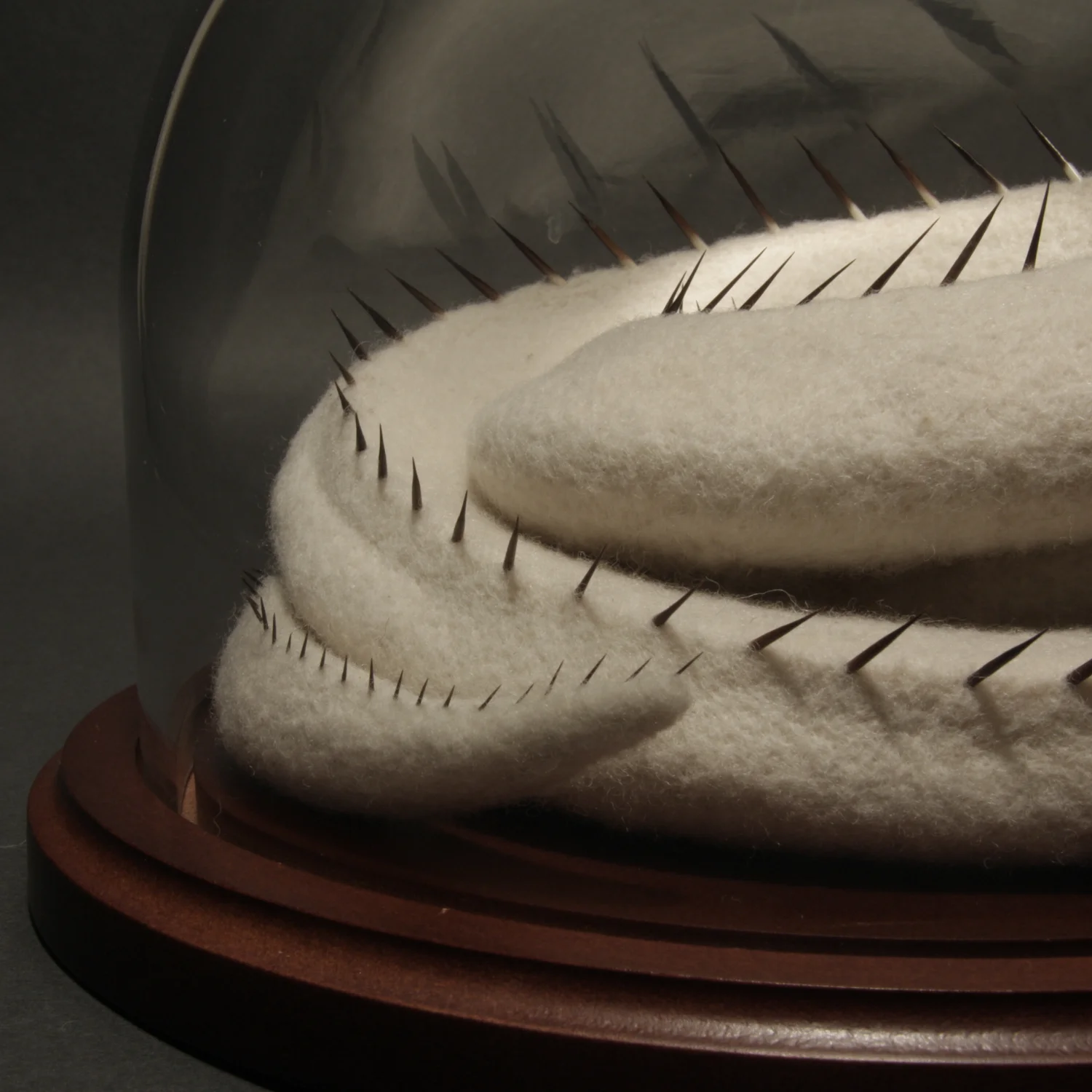 Calamus felted wool and porcupine quill sculptures — Stephanie Metz