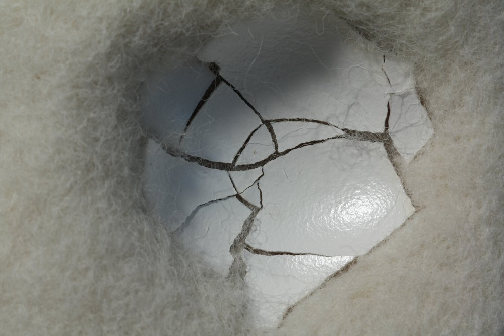 Eggshell and felt sculptures by fiber artist Stephanie Metz — Stephanie ...
