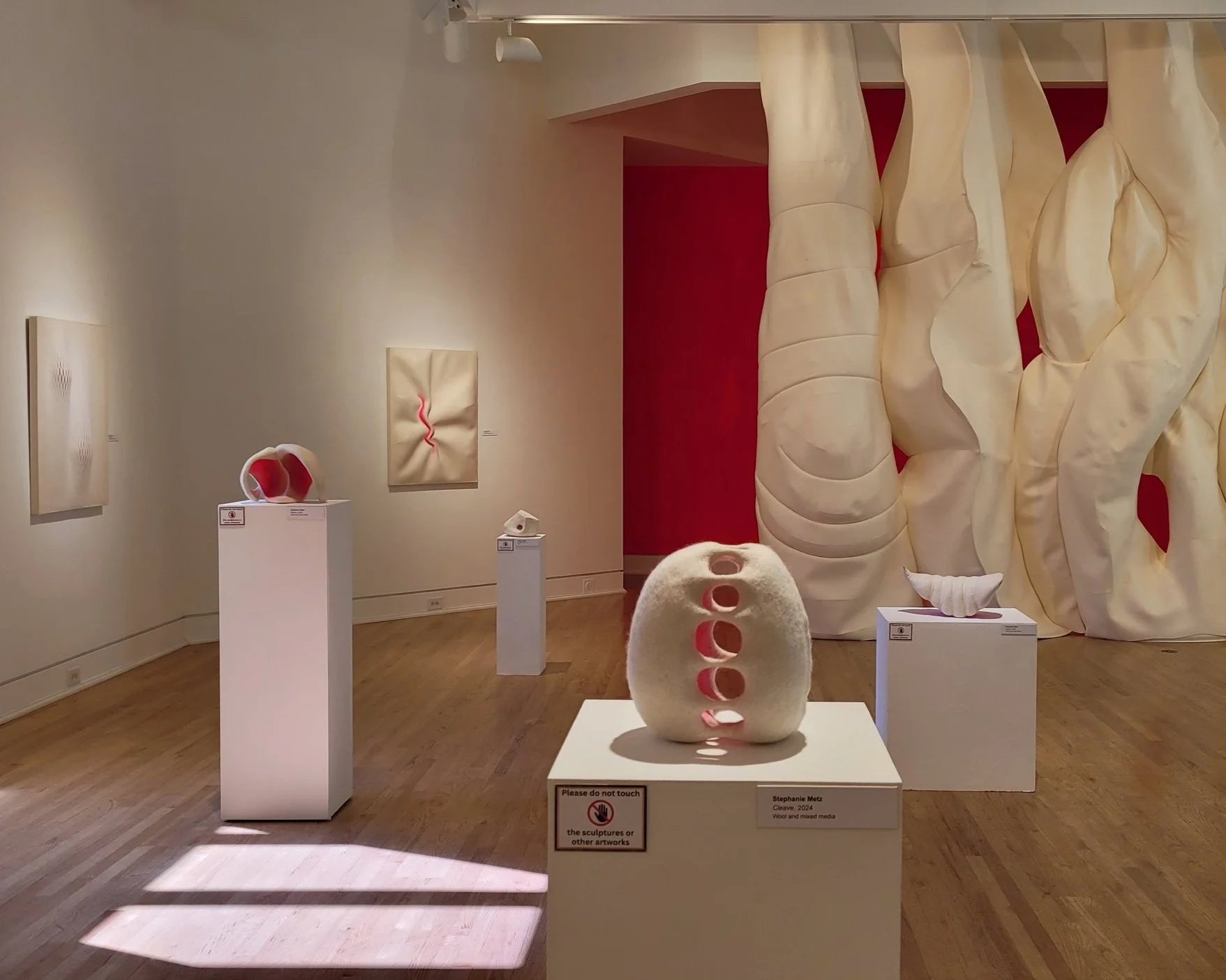 News — Stephanie Metz