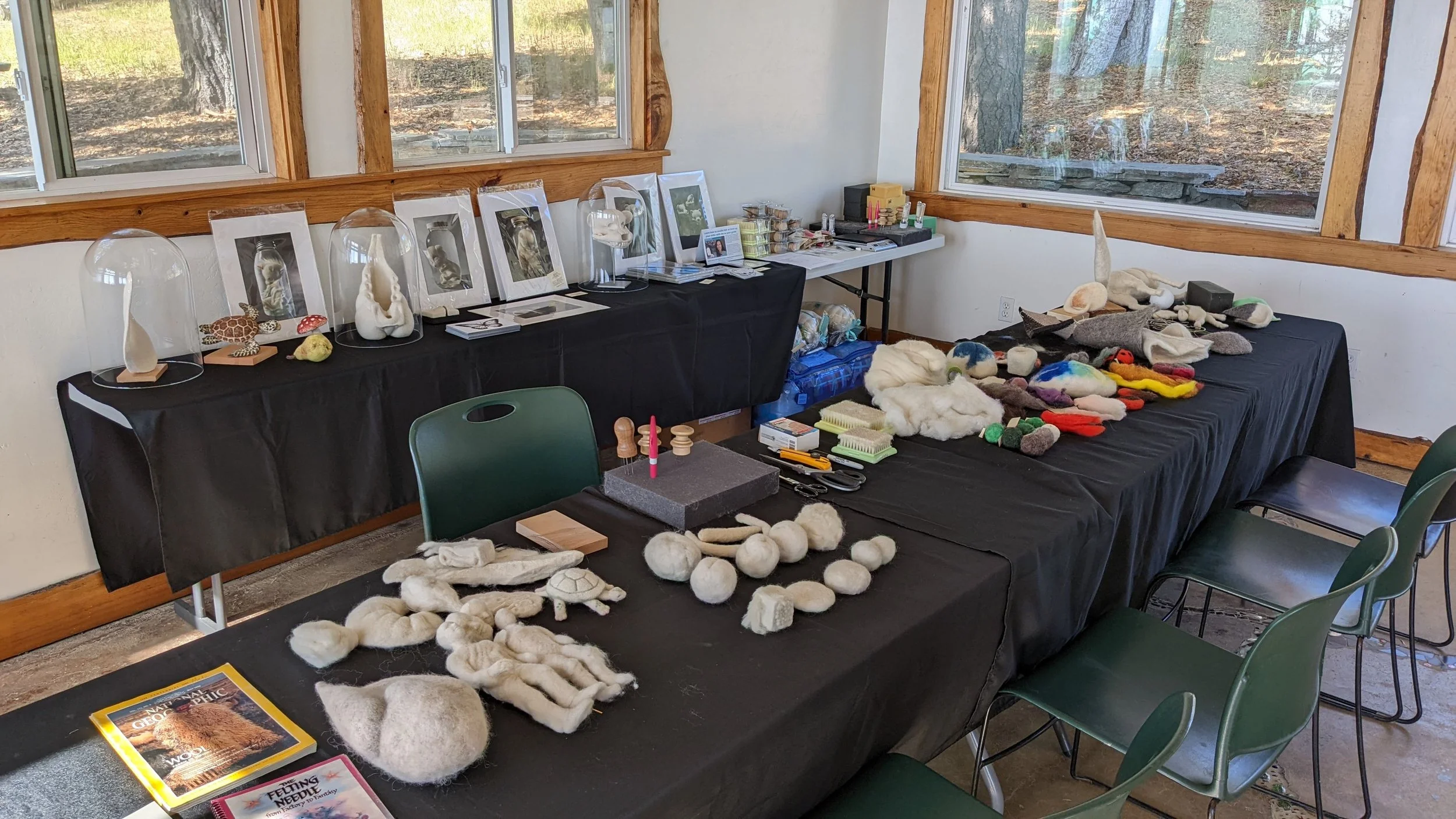 News — Stephanie Metz