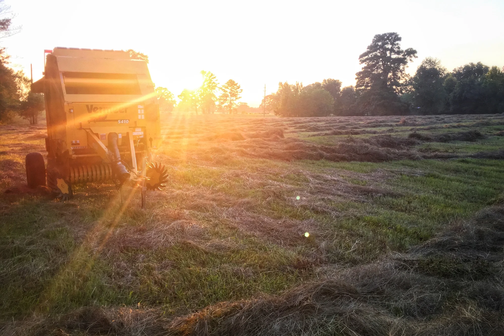 Story — — Butterfield Farms