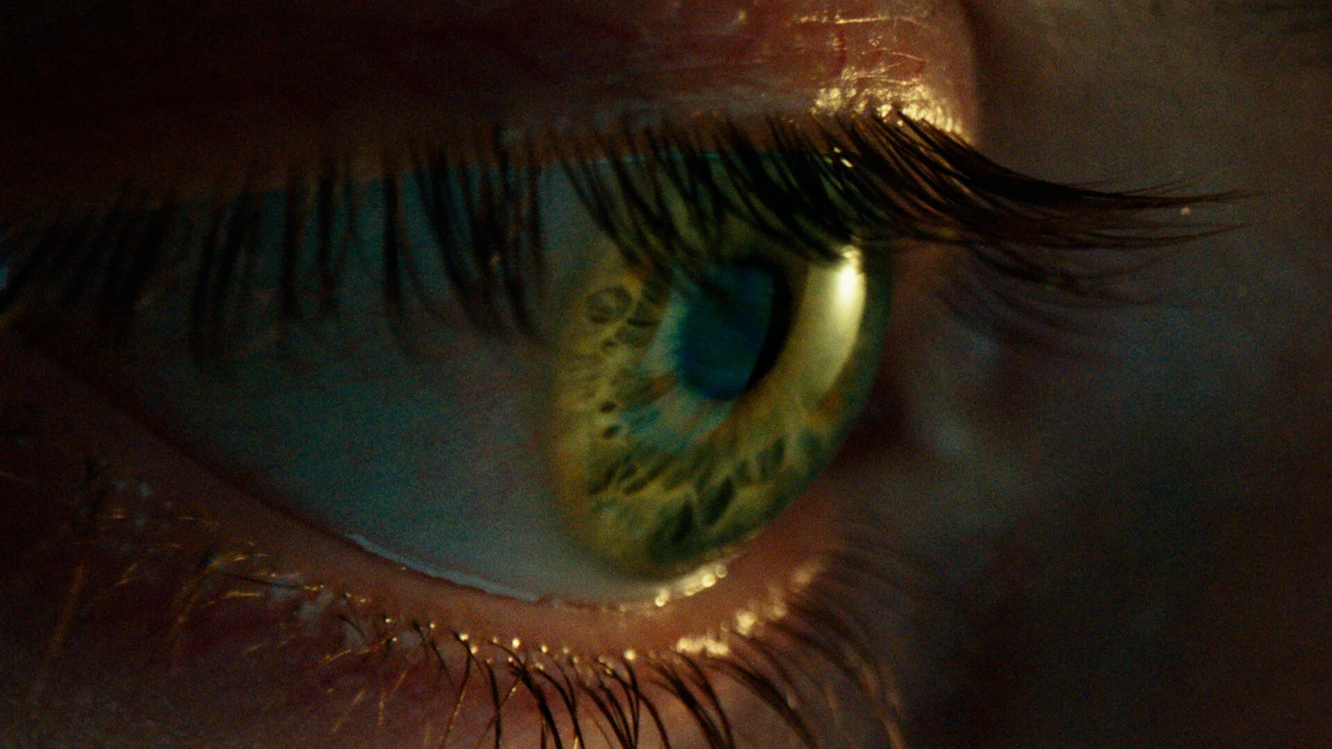 Taylor McIntosh | Cinematographer