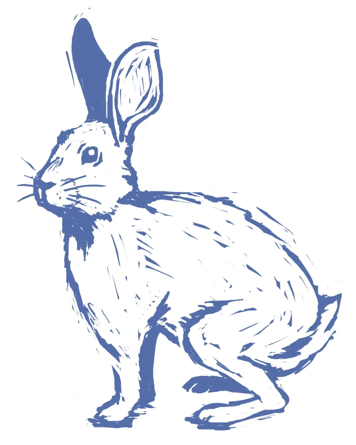 Blog — K. Woodman-Maynard