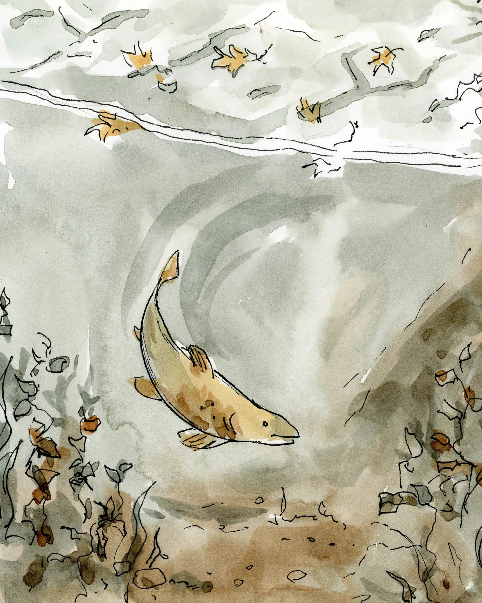 Haiku Comic Adventures — K. Woodman-Maynard