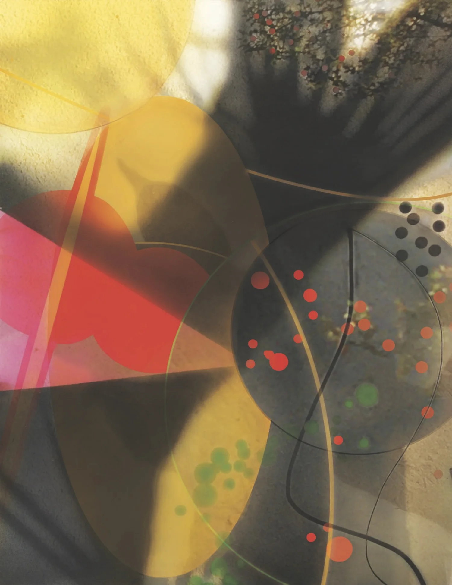 Joan Robey — LOIS LAMBERT GALLERY