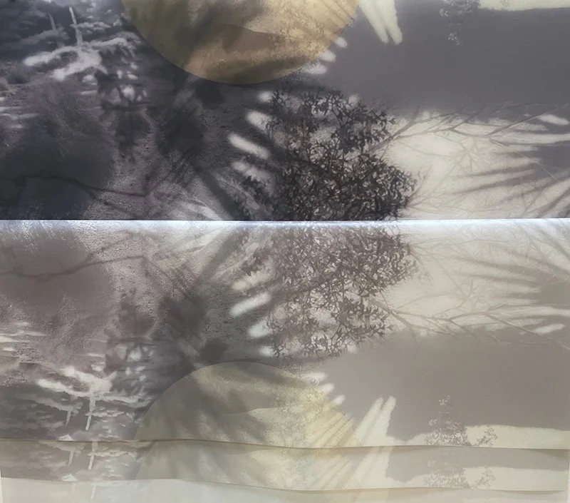 Joan Robey — LOIS LAMBERT GALLERY