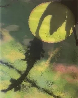 Joan Robey — LOIS LAMBERT GALLERY