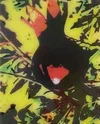 Joan Robey — LOIS LAMBERT GALLERY