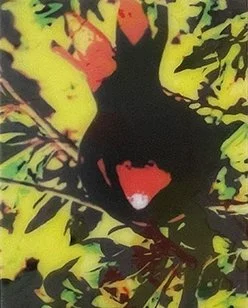 Joan Robey — LOIS LAMBERT GALLERY