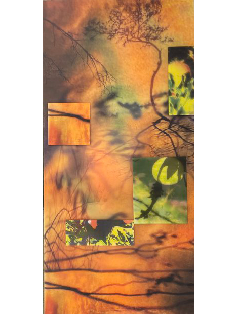 Joan Robey — LOIS LAMBERT GALLERY
