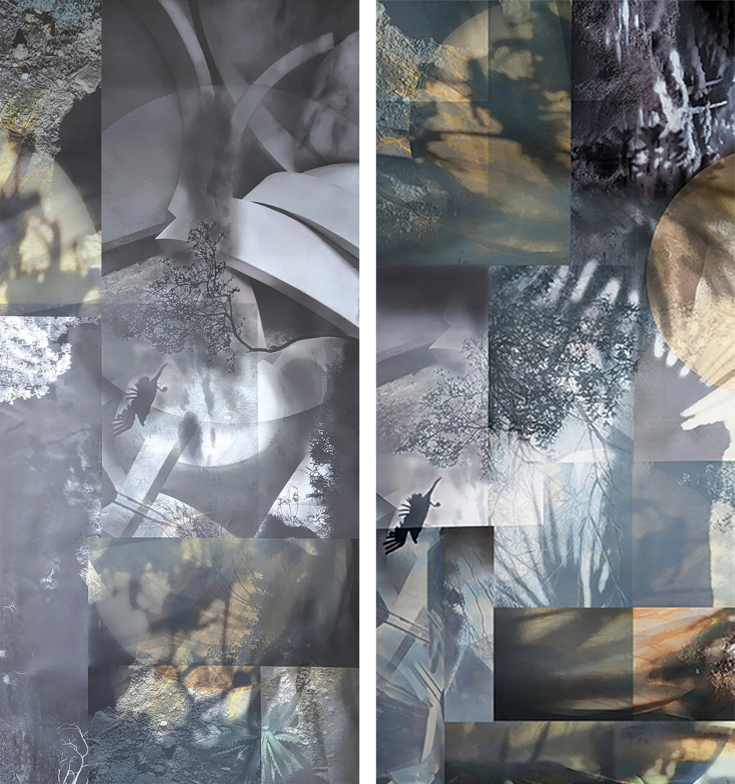 Joan Robey — LOIS LAMBERT GALLERY