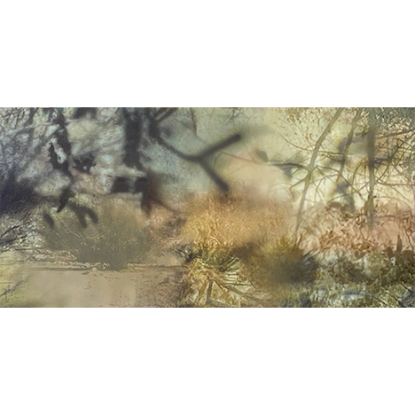 Joan Robey — LOIS LAMBERT GALLERY